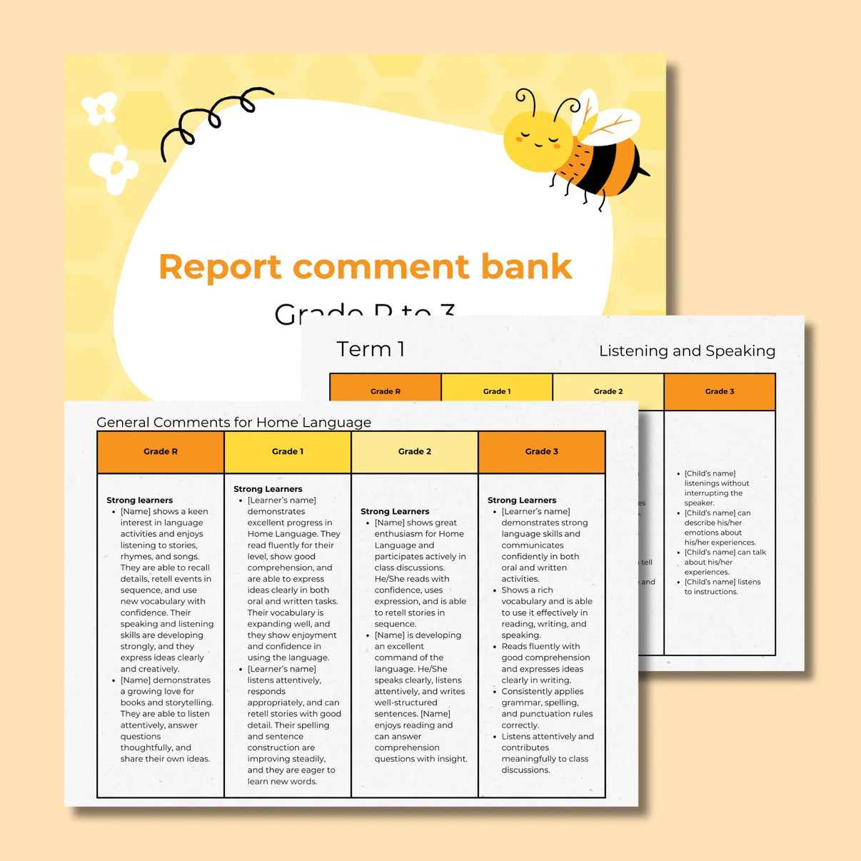 Report comments Grade R to 3 – Beeing The Foundation